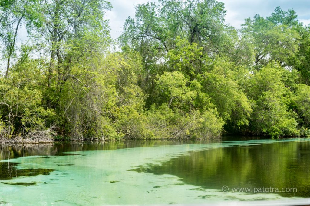 Weeki Wachee Springs – wo die Meerjungfrauen tanzen