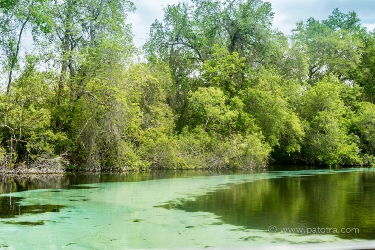 Weeki Wachee Springs – wo die Meerjungfrauen tanzen