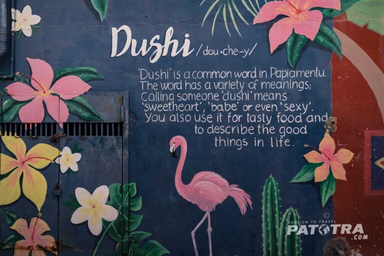 Das Paradies in ganz bunt: Curaçao - ein Reiseführer mit vielen Tipps